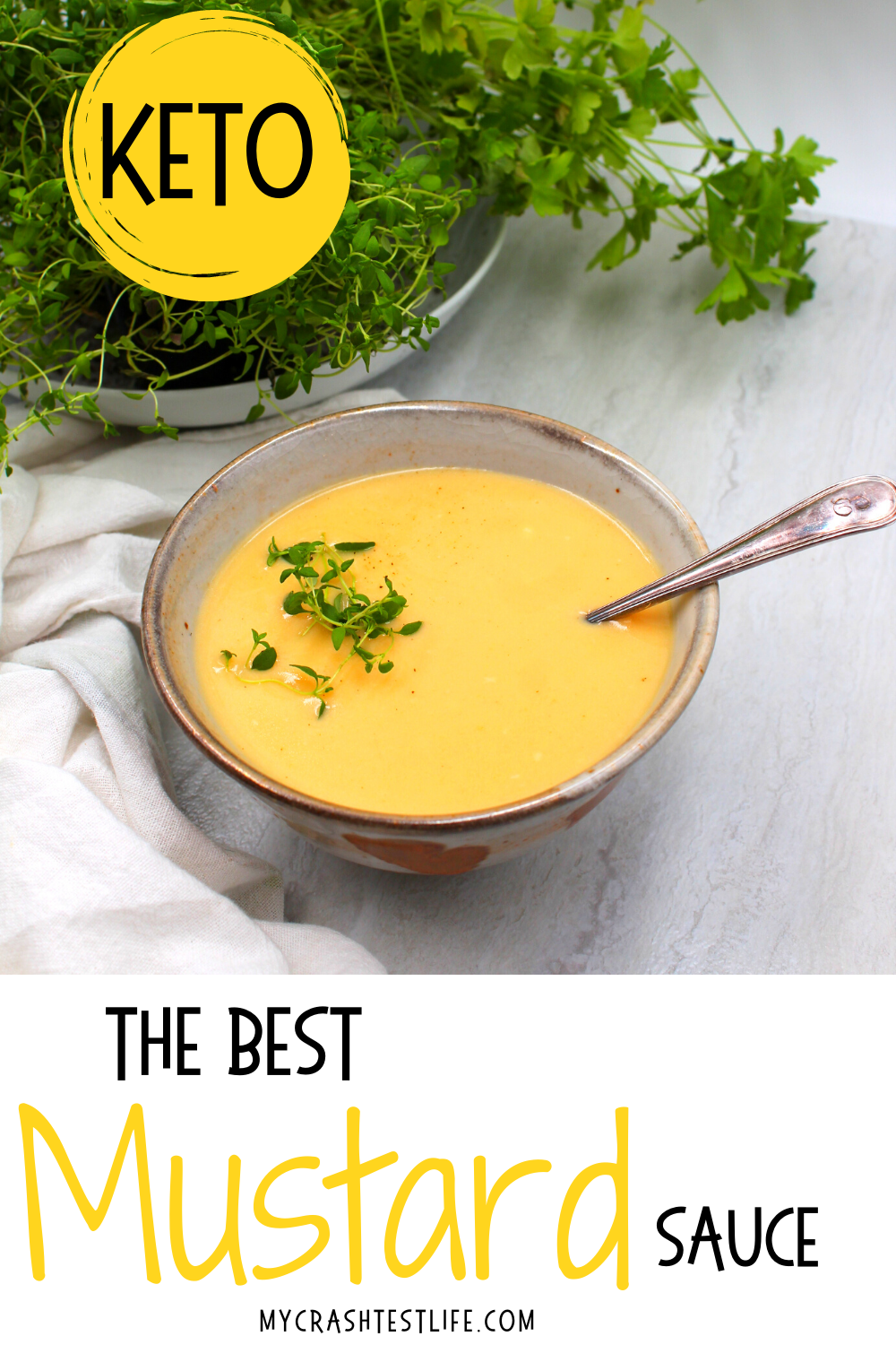 The BEST Keto Creamy Mustard Sauce - My Crash Test Life