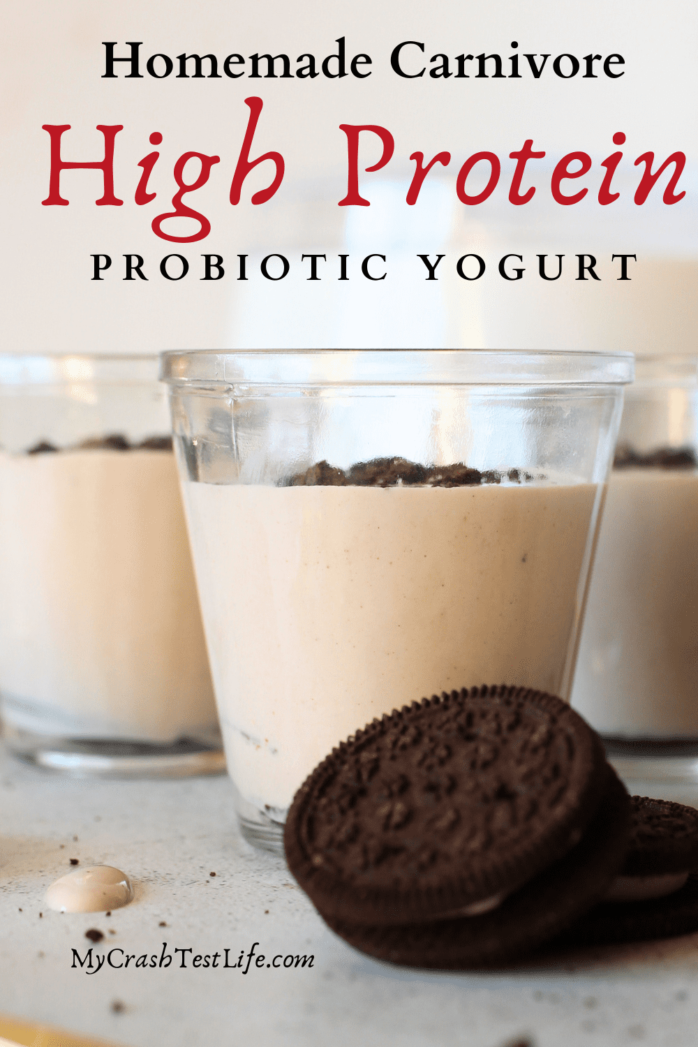 Homemade Keto Probiotic Protein Yogurt - My Crash Test Life